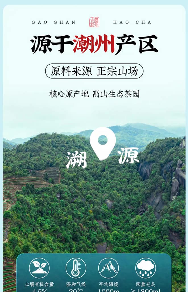 10 best good chinese tea brands - Jinxin Chinese Tea